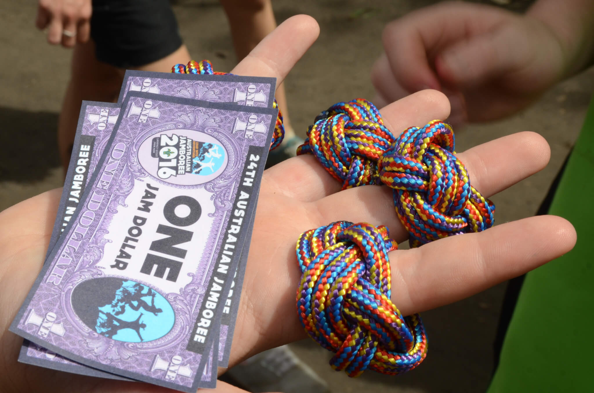 Honorary Treasurer Vacancy | Scouts Australia