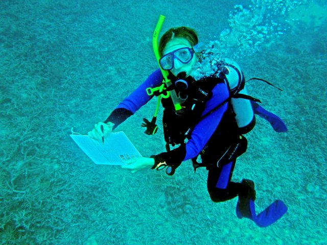 World Scout Environment Badge | Scouts Australia