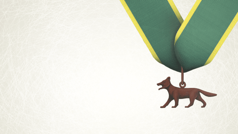 Paul Parkinson Receives World Scouting's Bronze Wolf | Scouts Australia