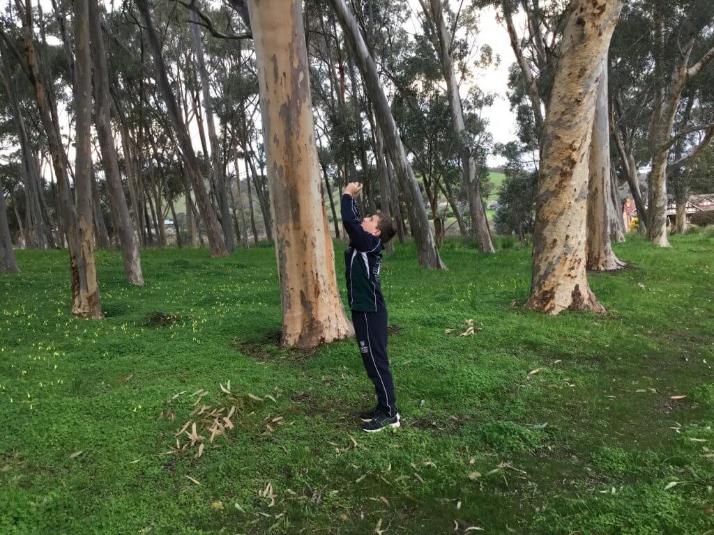 NASA and Scout Citizen Scientists | Scouts Australia