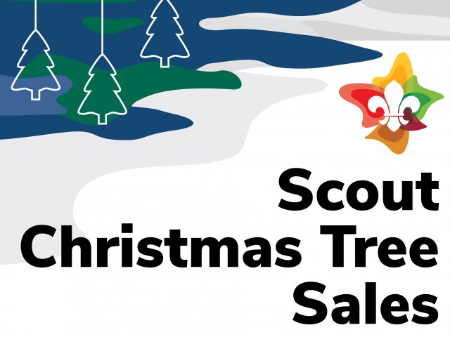 Scouts SES Badge | Scouts Australia