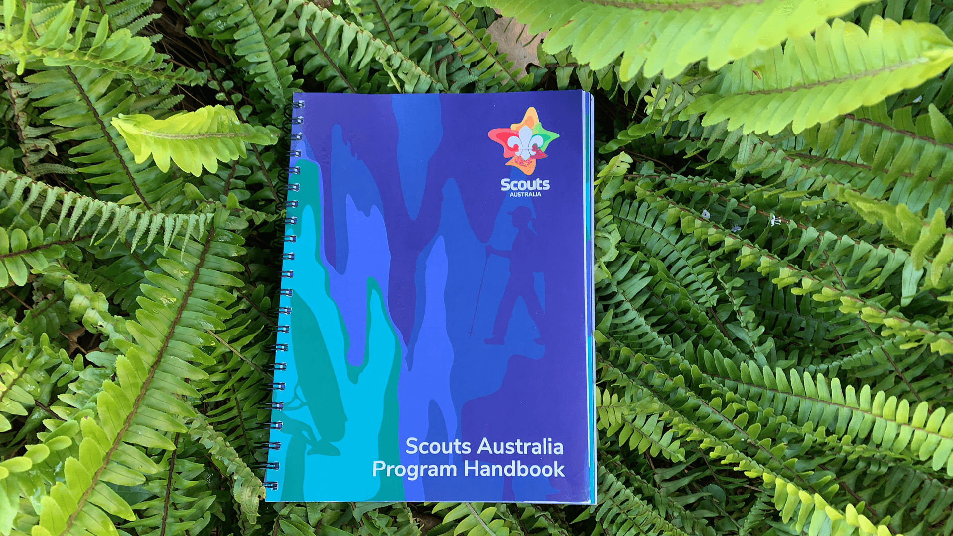 The Program Handbook Now Available Digitally | Scouts Australia