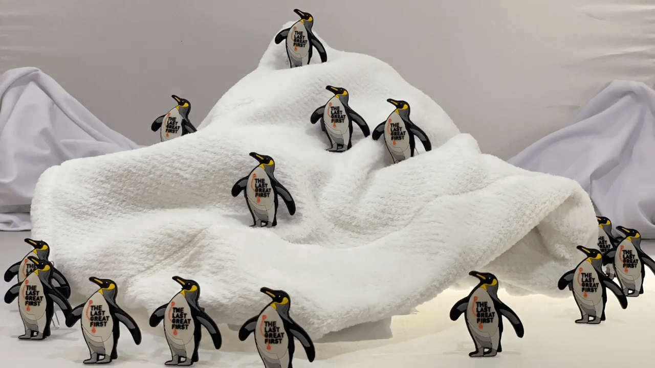 'Australis' Revealed as Name for The Last Great First Penguin Woggle ...