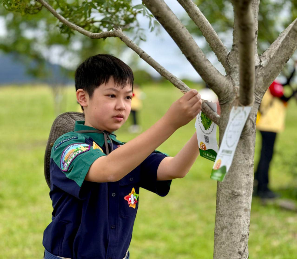 Impact Innovators | Scouts Australia