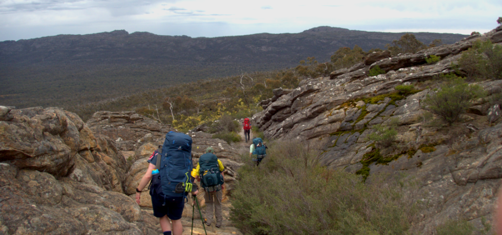 New Appointment - SAIT Deputy Principal | Scouts Australia